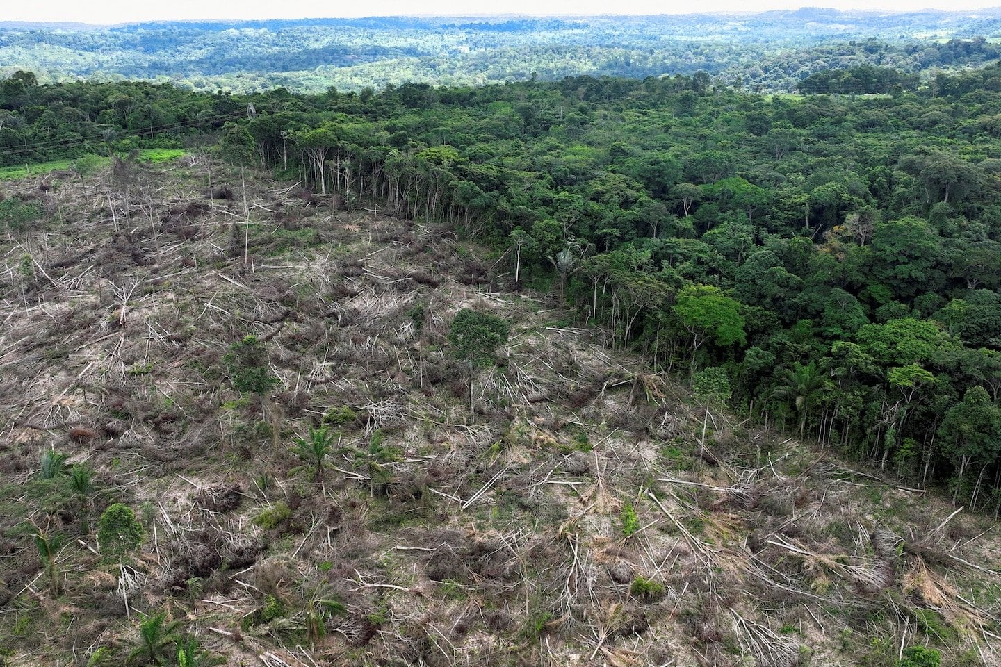 The world is ‘woefully off track’ on dozens of climate goals ...