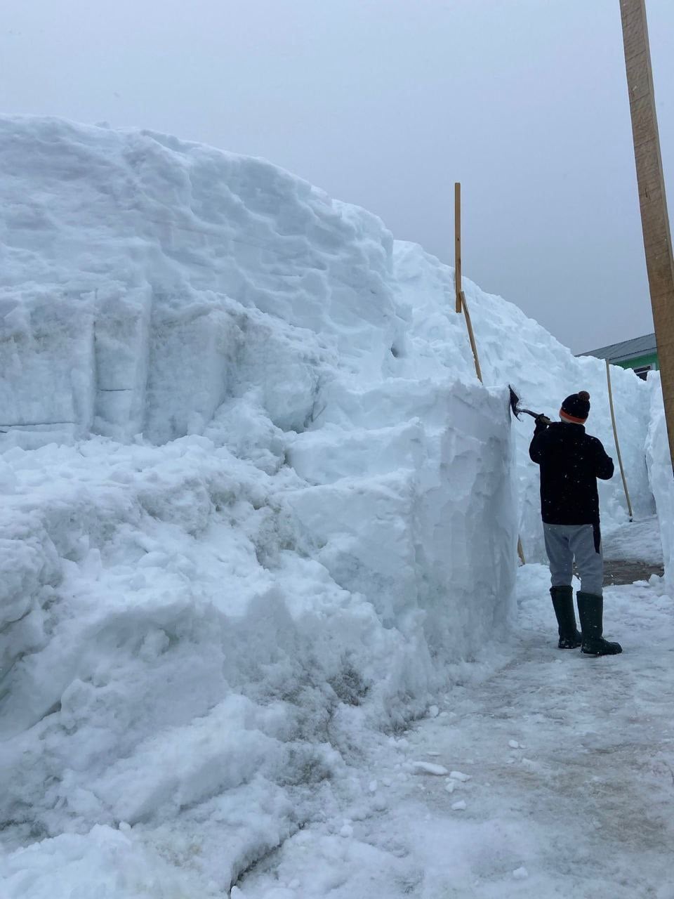 Ukrainian polar explorers at the Vernadsky Research Base spent over a ...