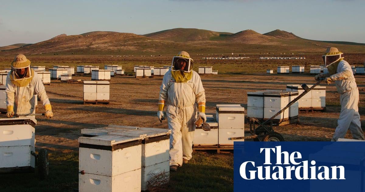 ‘Could become a death spiral’: scientists discover what’s driving ...