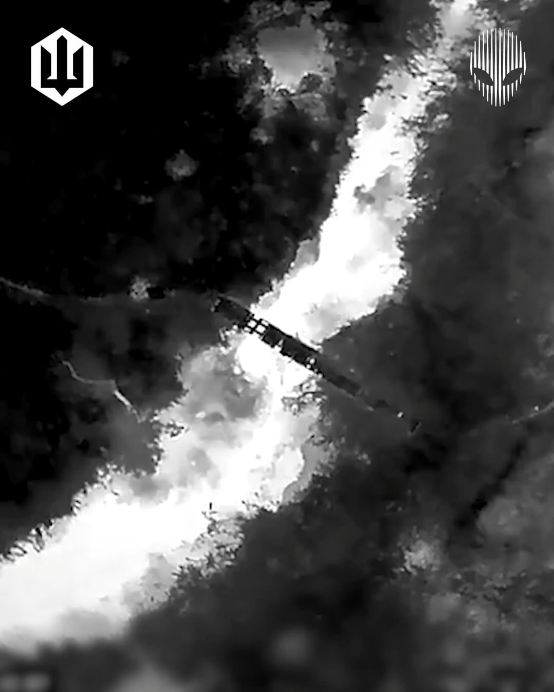Footage provided by the Ukrainian “Nemesis” drone regiment shows ...