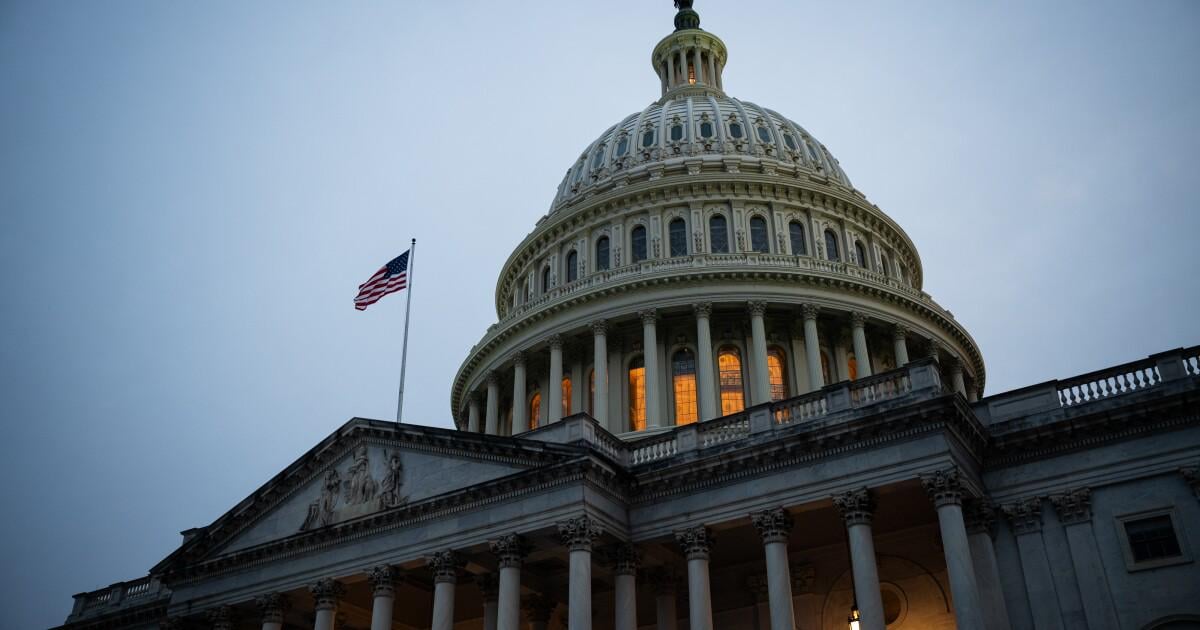US Gov shutdown – Mirror Weekly
